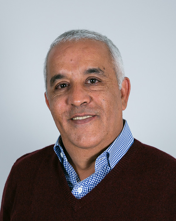 Notre équipe | Steva